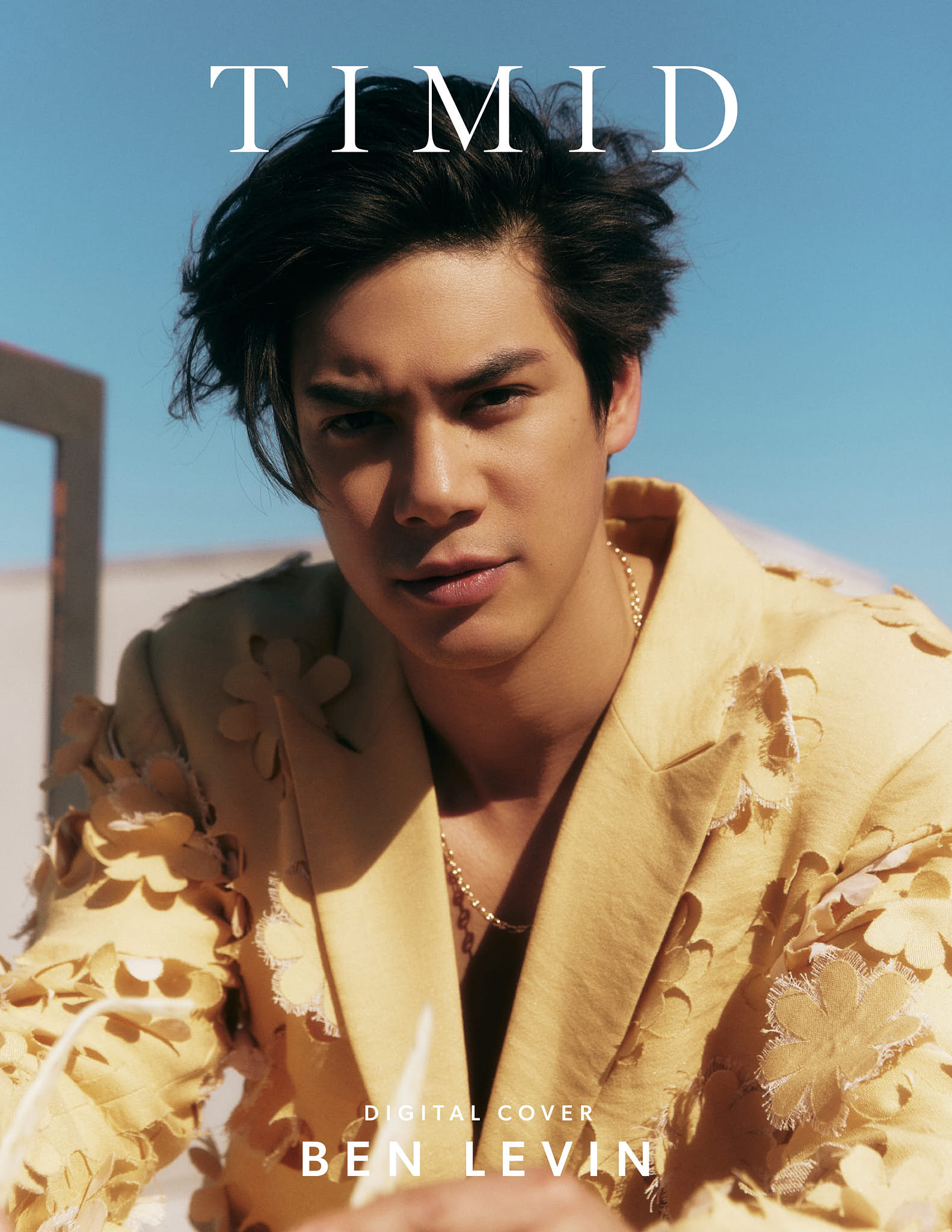 Timid Magazine | Ben Levin